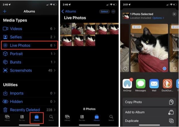 Cómo crear una Live Photo con un video